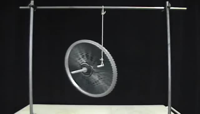 OVS | Video Collection